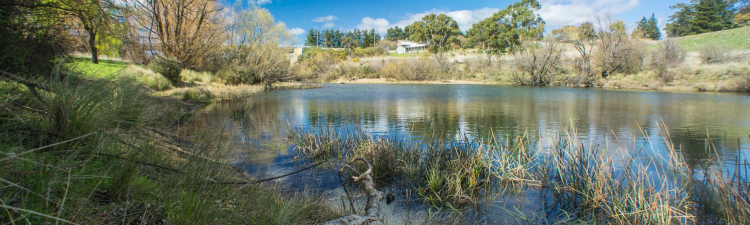 Rates - Northern Midlands Council